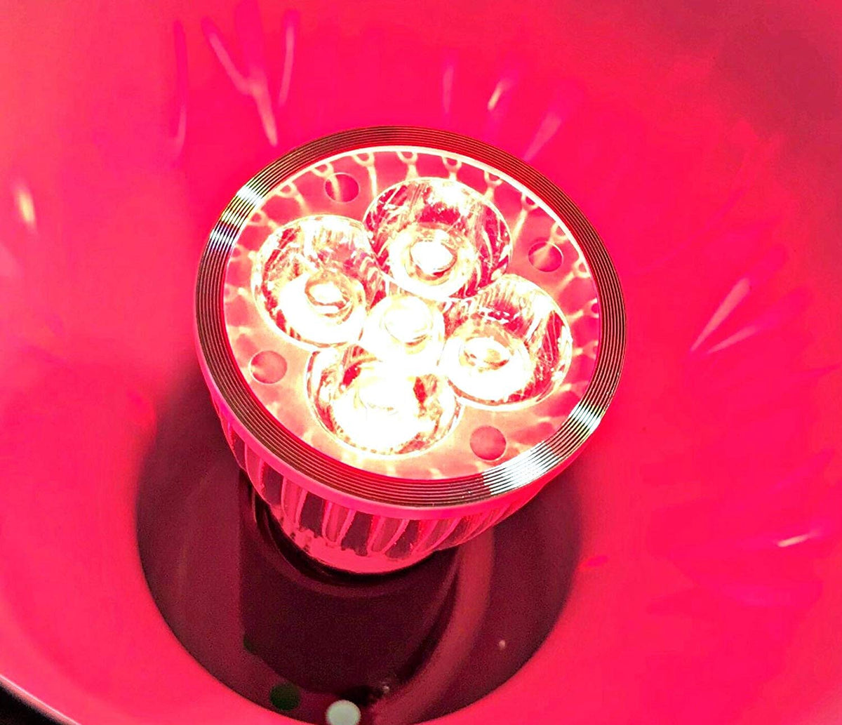 RubyLux All Red LED Bulb - Small - 2nd Generation - 220V for EUROPE ...