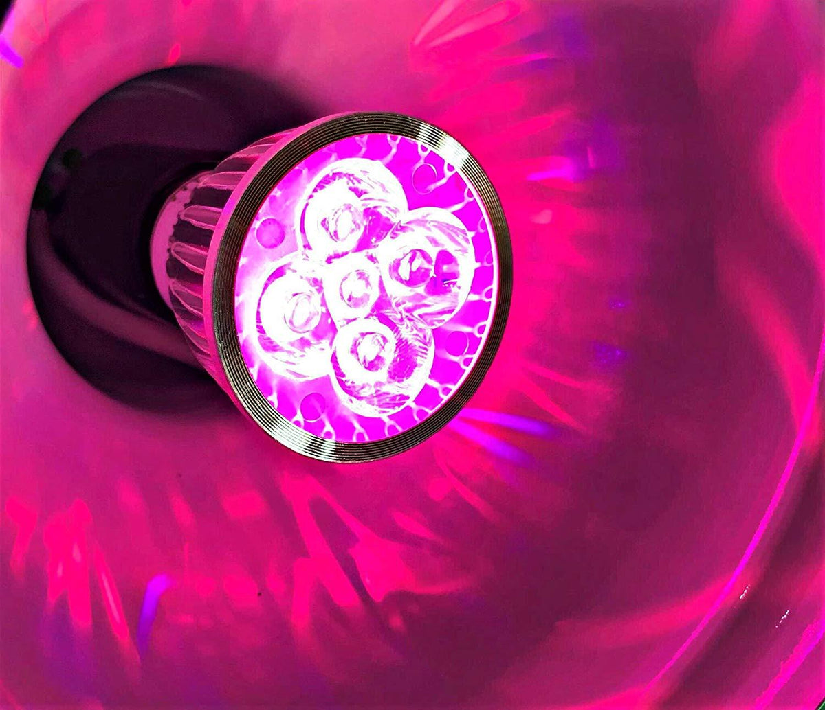 RubyLux Red & Blue LED Bulb - Small - 2nd Generation US & Canada 120V ...